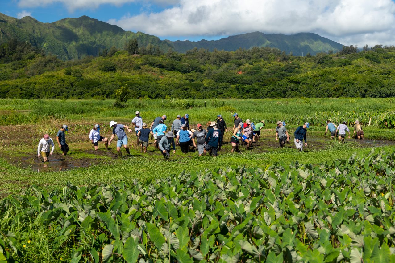 Alumni | Movers and Shakas